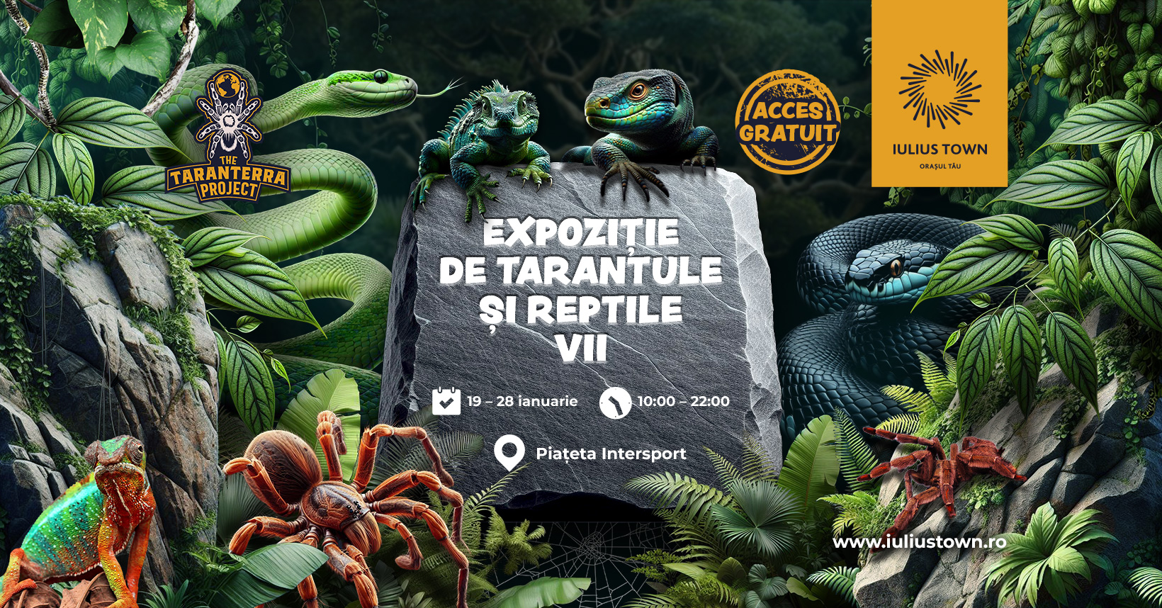 Cele mai mari tarantule și reptile de pe glob vor fi expuse la Iulius ...